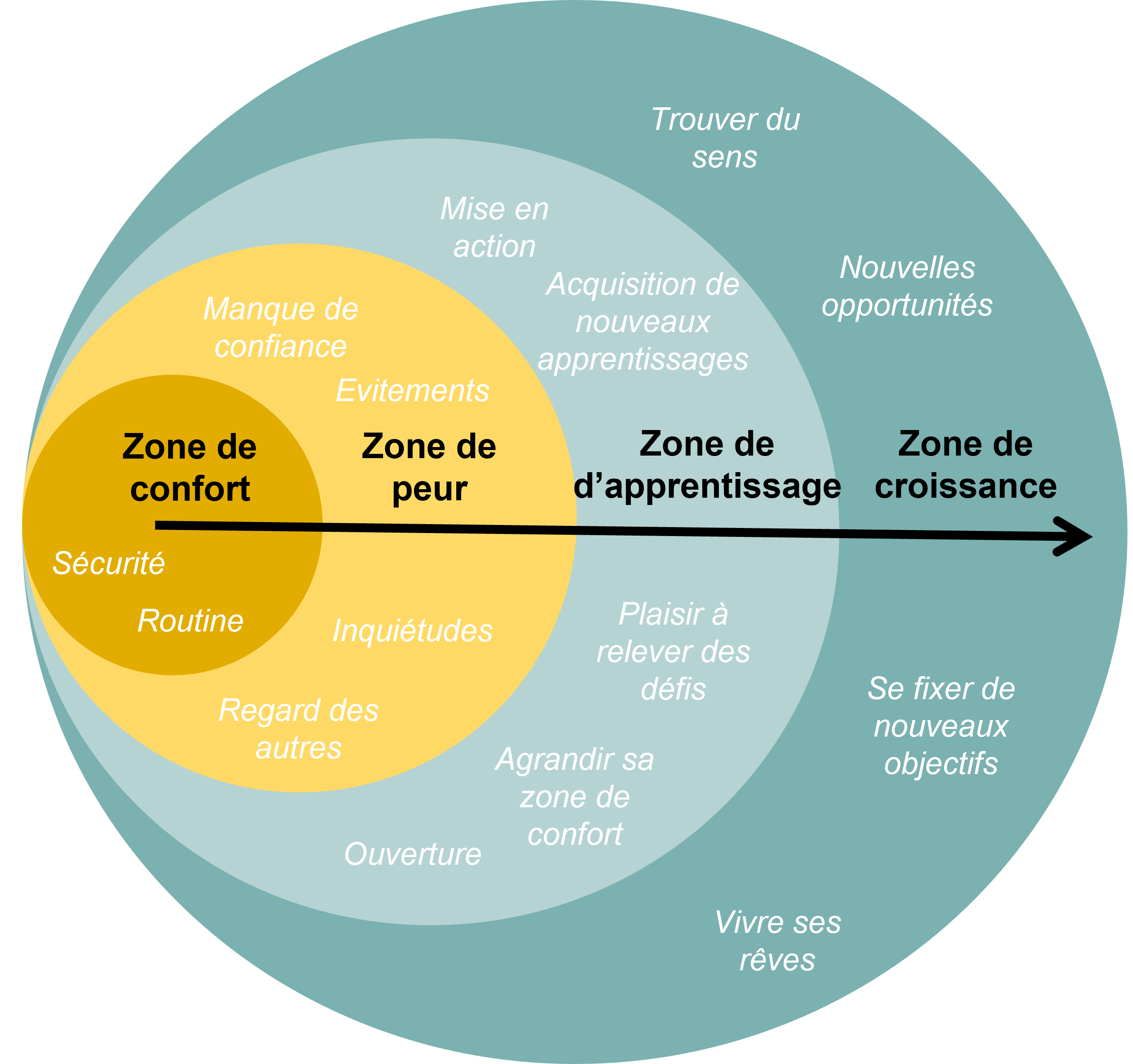 « Sortir de sa zone de confort ». Pourquoi ? – Cheval & Coach